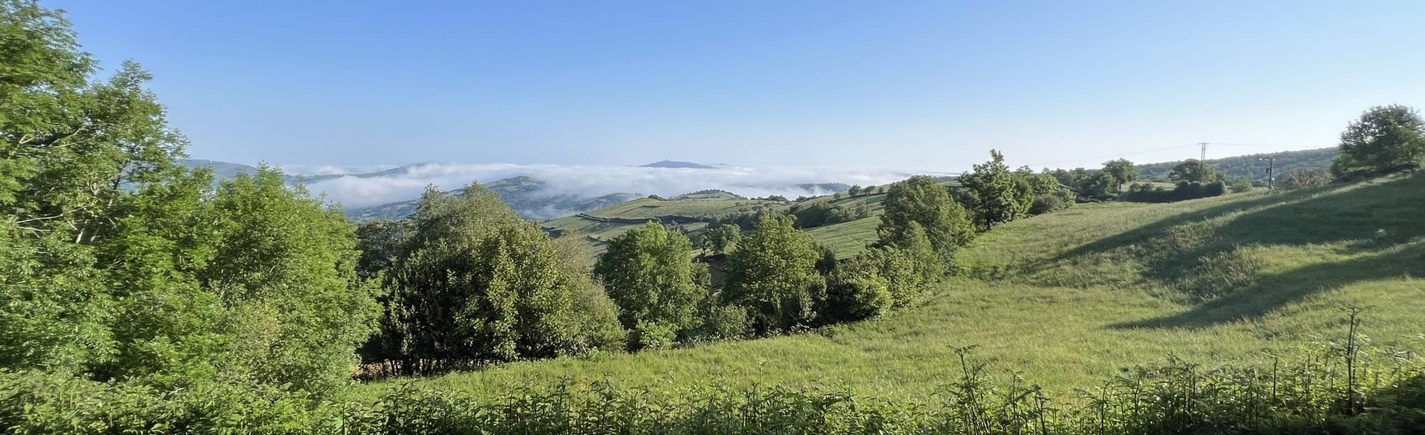 Franse manier: Fonfría - Aguiada: 459 foto's - Lugo, Spanje | AllTrails