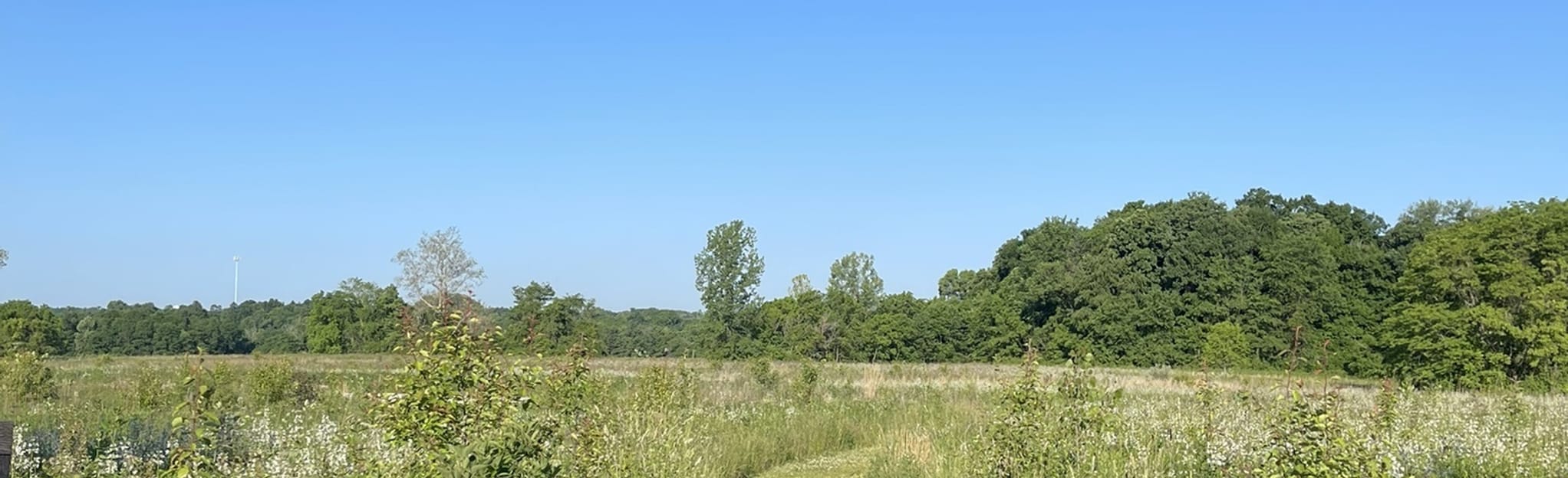 AllTrails | Sweet Arrow Reserve Trail : 1158 Reviews, Map - Ohio