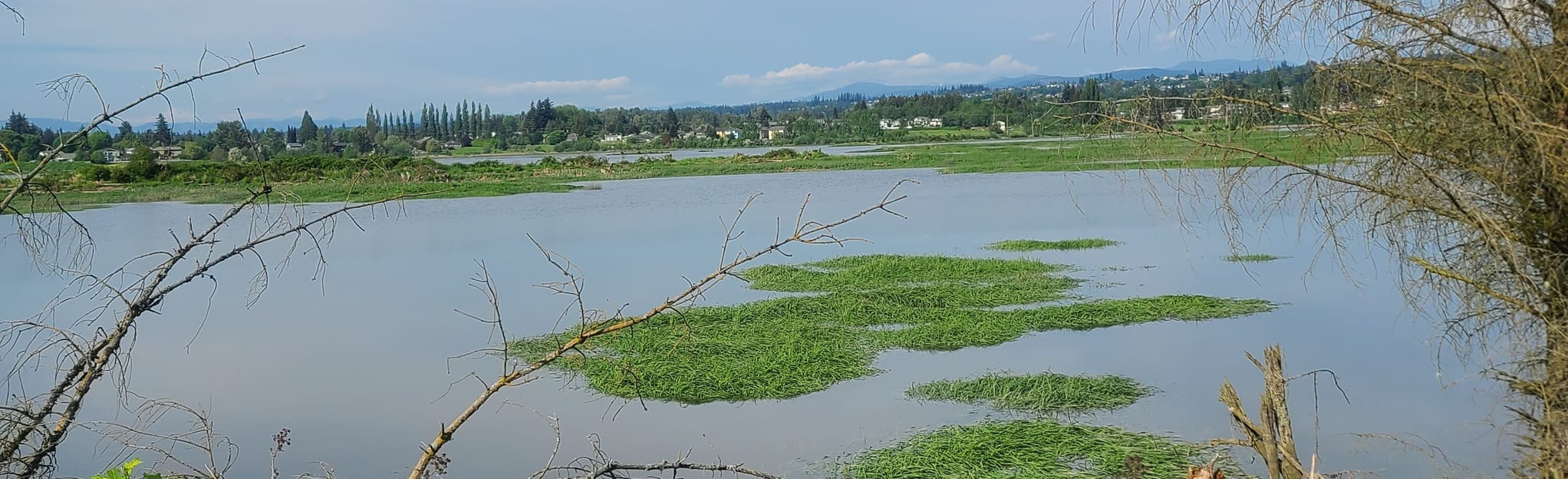 Ebey Slough Trail, Washington - 356 Reviews, Map | AllTrails