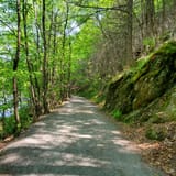 Hamilton Falls Trail, Vermont - 687 Reviews, Map | AllTrails