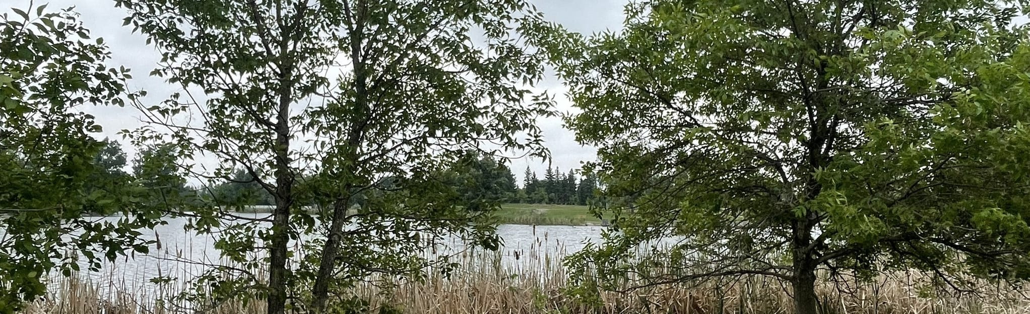 Nicholas Sheran Lake Loop, Saskatchewan, Canada - 100 Reviews, Map ...