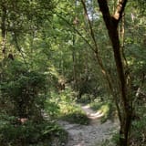 Comite Park Loop, Louisiana - 782 Reviews, Map | AllTrails