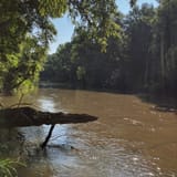Comite Park Loop, Louisiana - 782 Reviews, Map | AllTrails