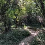 Comite Park Loop, Louisiana - 782 Reviews, Map | AllTrails