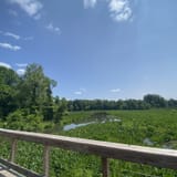 Neabsco Creek Boardwalk, Virginia - 844 Reviews, Map | AllTrails