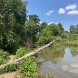 Neabsco Creek Boardwalk, Virginia - 844 Reviews, Map | AllTrails