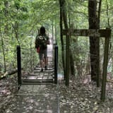 Savage Falls, Tennessee - 660 Reviews, Map | AllTrails