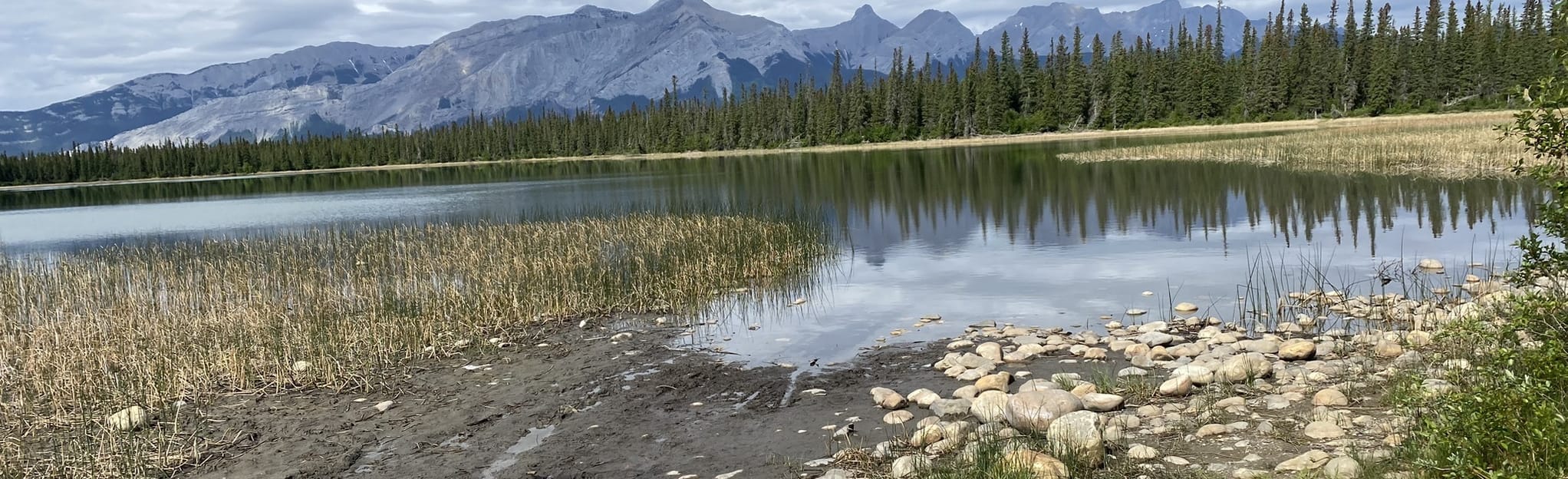 Kinky Lake Loop: 20 foto's - Alberta, Canada | AllTrails