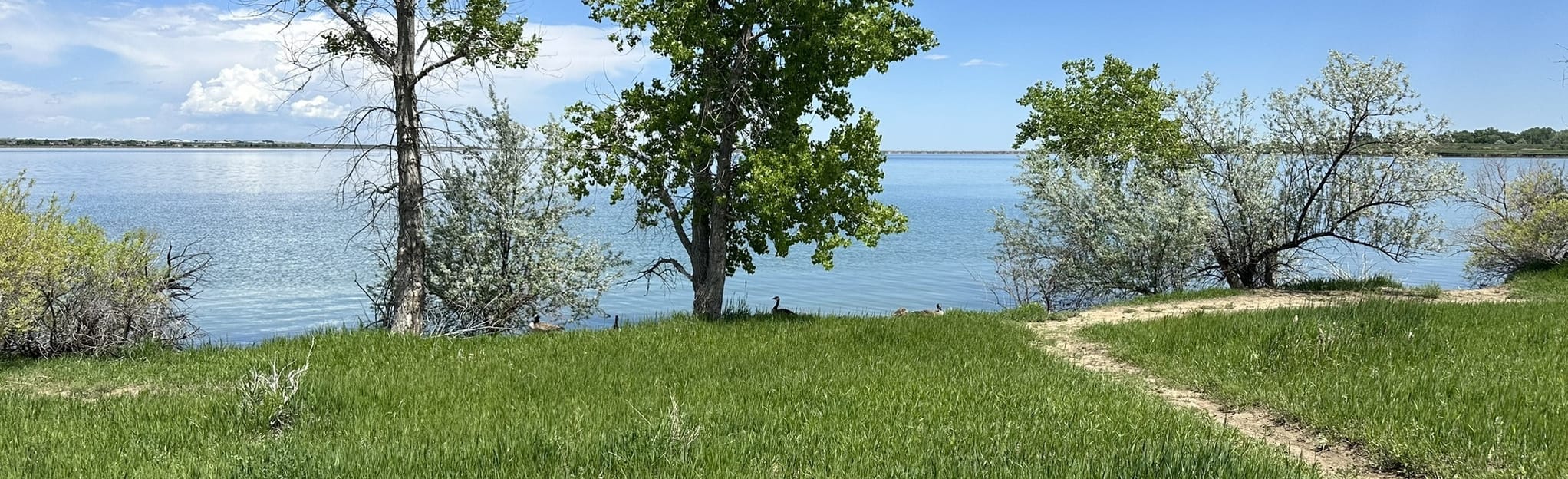 South Standley Lake Trail Loop: 816 Reviews, Map - Colorado | AllTrails