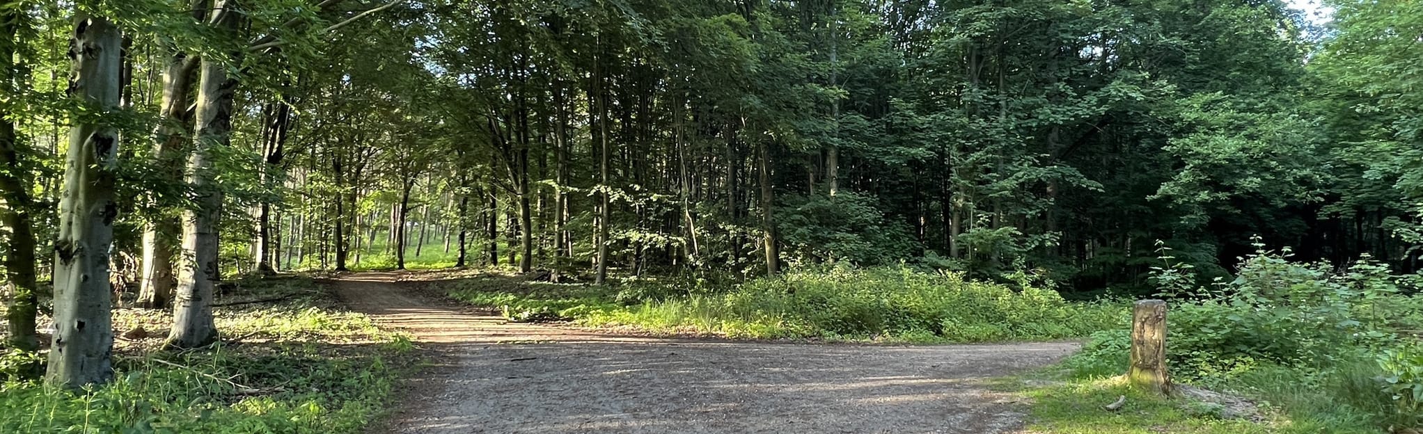 Reichswald Mountain Bike Loop: 45 foto's - Noordrijn-Westfalen ...