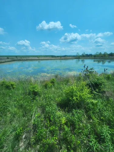 Best Hikes and Trails in Fernald Preserve | AllTrails