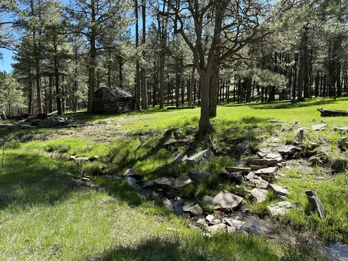 10 Best Trails and Hikes in Happy Jack | AllTrails