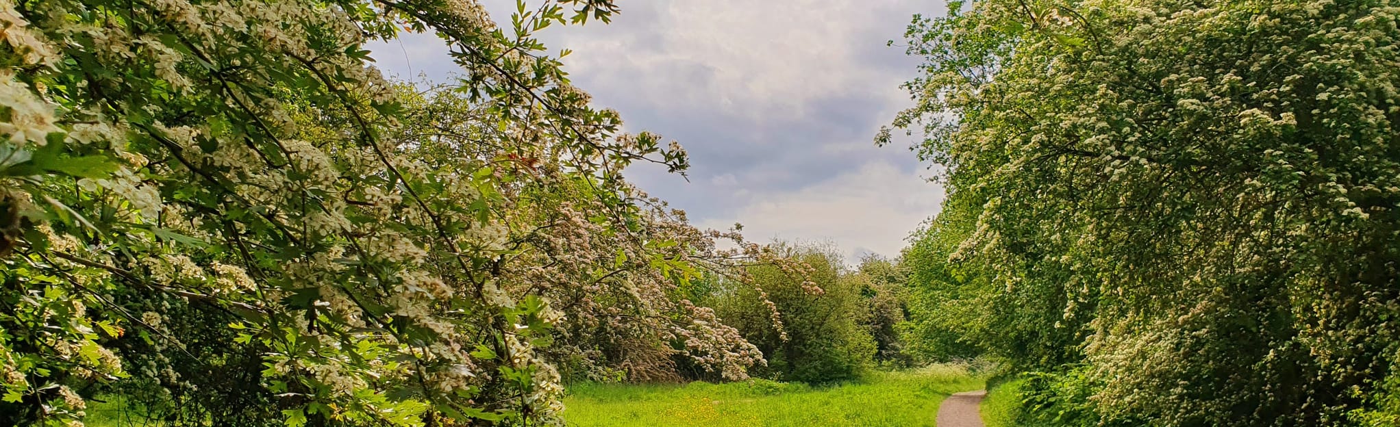 Skegby Trail, Silverhill Trail, and Brierle Branch, Nottinghamshire ...
