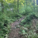 Pequot Woods, Connecticut - 376 Reviews, Map | AllTrails