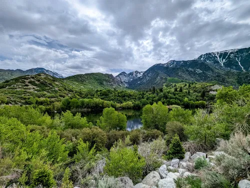 2023 Best 10 Trails and Hikes in Sandy | AllTrails