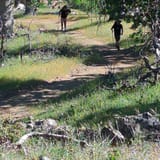 Murietta Falls Trail, California - 681 Reviews, Map | AllTrails