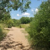 Oso Bay Wetlands Preserve, Texas - 384 Reviews, Map | AllTrails