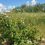 Oso Bay Wetlands Preserve, Texas - 384 Reviews, Map | AllTrails