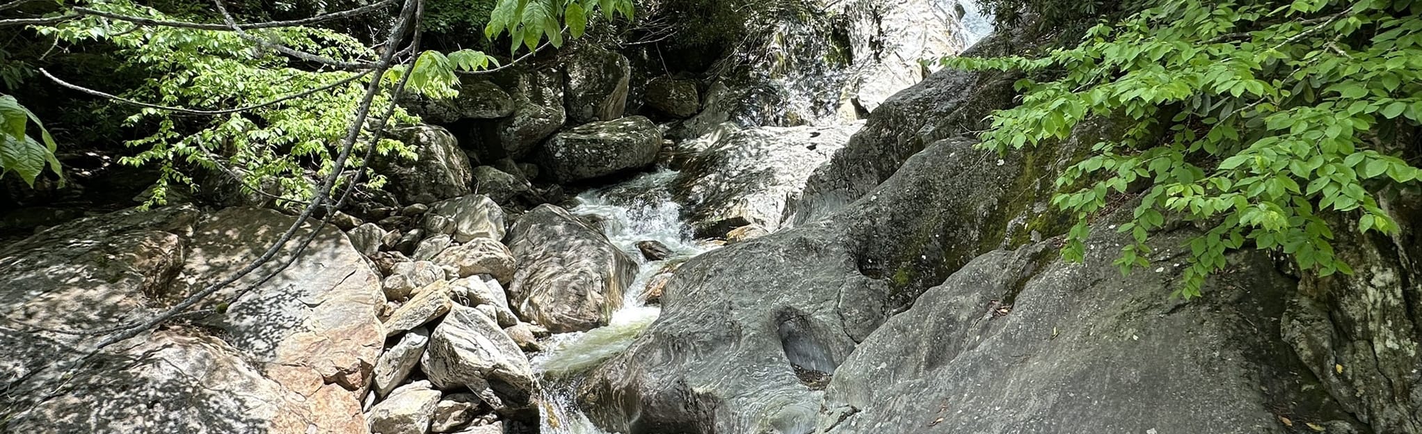 Sunburst Falls: 35 Reviews, Map - North Carolina | AllTrails