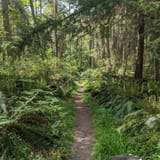 Hoypus Point Trail, Washington - 580 Reviews, Map | AllTrails