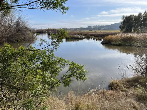 Beste wandelingen en routes in Jerrabomberra Wetlands Nature Reserve ...