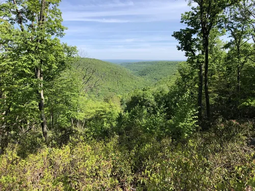 10 Best Hikes and Trails in Elk State Forest | AllTrails