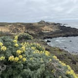 Salt Point Trail to Stump Beach, California - 601 Reviews, Map | AllTrails