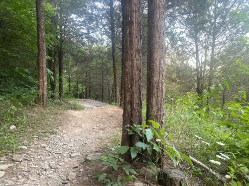 Best Hikes and Trails in Devou Park | AllTrails