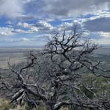Red Butte Trail, Arizona - 218 Reviews, Map | AllTrails