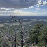 Red Butte Trail, Arizona - 218 Reviews, Map | AllTrails