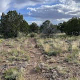 Red Butte Trail, Arizona - 218 Reviews, Map | AllTrails