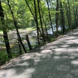 Hamilton Falls Trail, Vermont - 656 Reviews, Map | AllTrails