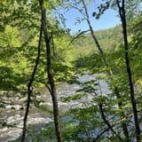 Hamilton Falls Trail, Vermont - 656 Reviews, Map | AllTrails