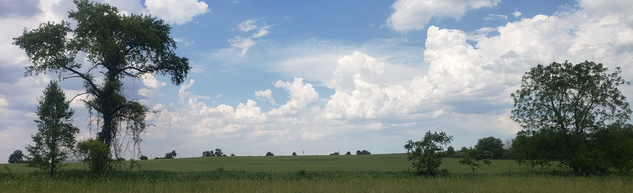 Elburn Preserve Eastwoods and South Grasslands Trail, 49 Fotos ...