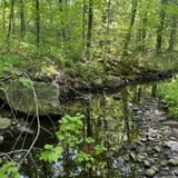 Hamilton Falls Trail, Vermont - 656 Reviews, Map | AllTrails