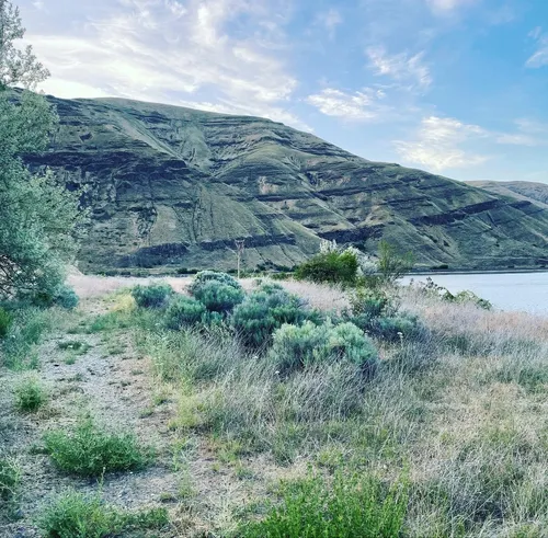 Best Hikes and Trails in Chief Timothy Park | AllTrails