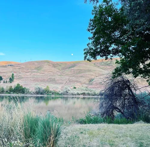 Best Hikes and Trails in Chief Timothy Park | AllTrails