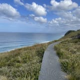 The Coast Track, New South Wales, Australia - 329 Reviews, Map | AllTrails