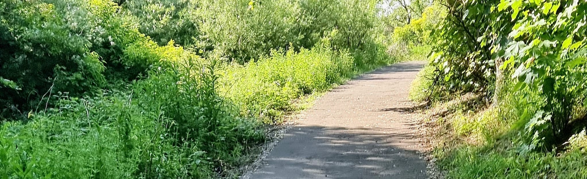 Gailes Marsh - Irvine, North Ayrshire, Scotland - 8 Reviews, Map ...