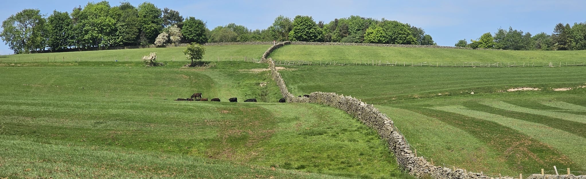 Askwith Hall Lane Circular: 40 Reviews, Map - West Yorkshire, England ...