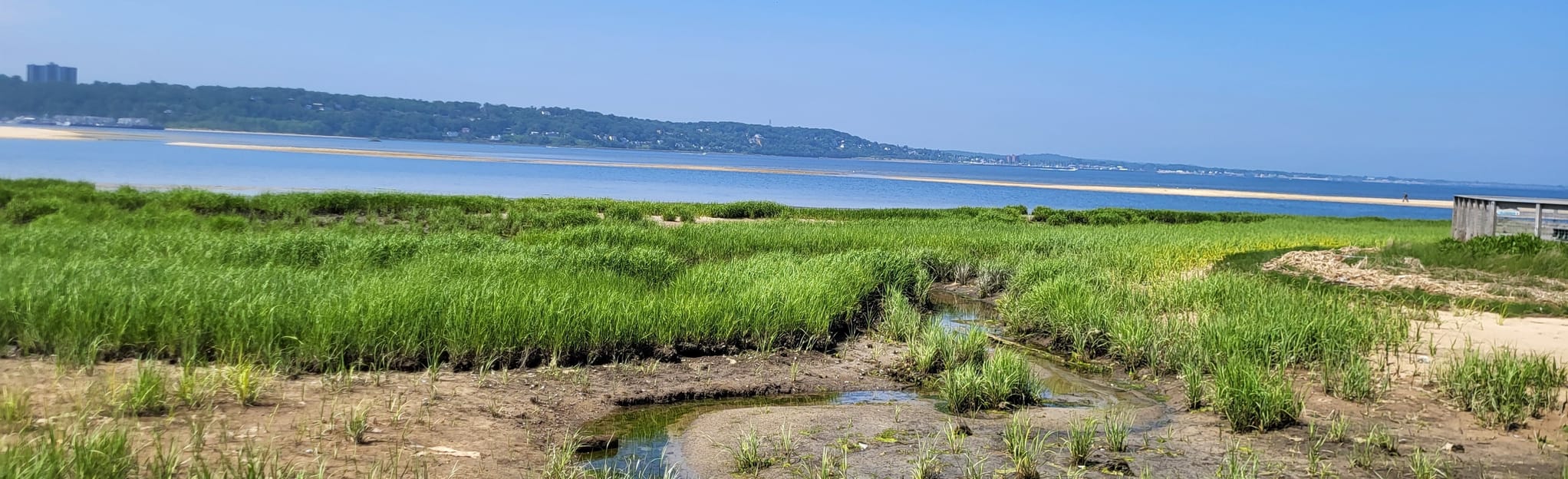 Sandy Hook Multi-Use Trail: 834 Reviews, Map - New Jersey | AllTrails