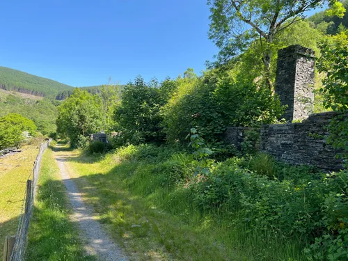 10 Best Walking Trails in Machynlleth | AllTrails