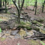 Deep Run Park Trails, Virginia - 1,201 Reviews, Map | AllTrails