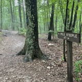 Pole Steeple Trail, Pennsylvania - 874 Reviews, Map | AllTrails