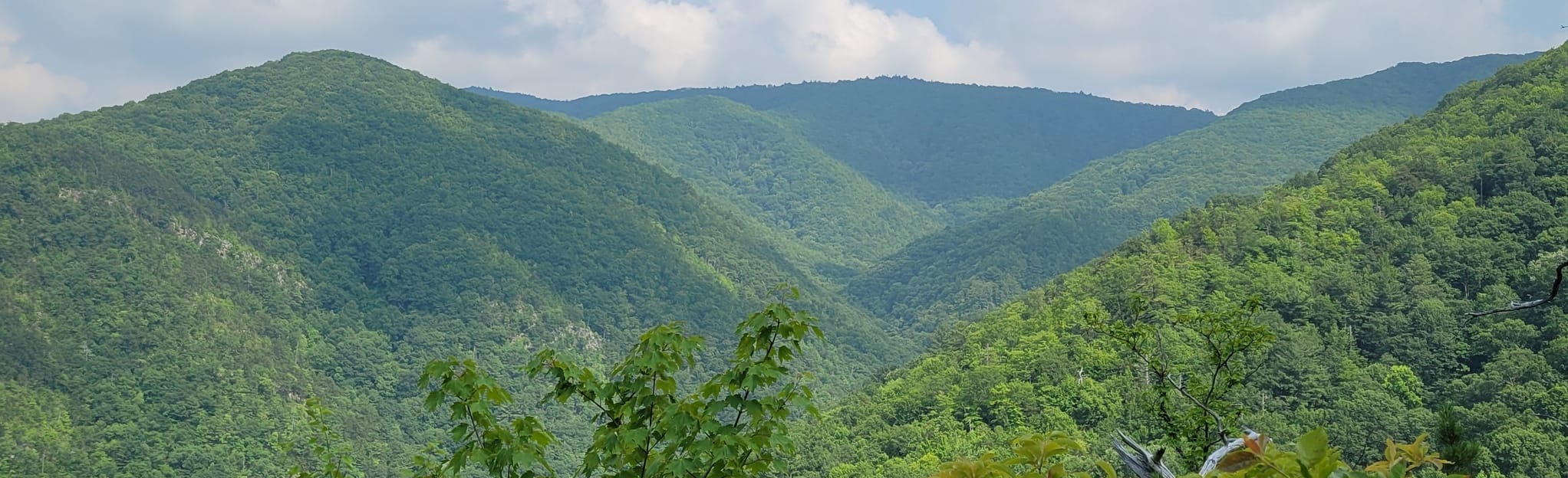 Poplar Cove Trail: Horse Creek to Round Knob: 2 Reviews, Map ...