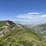 Emigration Canyon Ridgeline Trail, Utah - 378 Reviews, Map | AllTrails