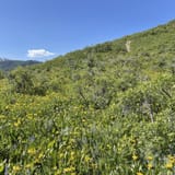Emigration Canyon Ridgeline Trail, Utah - 378 Reviews, Map | AllTrails