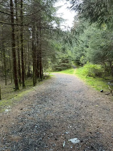 Best Hikes and Trails in Buskin River State Recreational Site | AllTrails