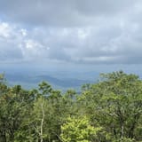 Springer Mountain, Georgia - 629 Reviews, Map | AllTrails