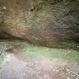 Natural Bridge Park Loop, Alabama - 260 Reviews, Map | AllTrails